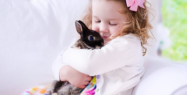 Good Pets For Kids: Choosing The Right Pet For Your Family - AskHer ...