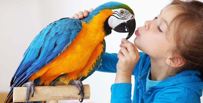 Good Pets For Kids: Choosing The Right Pet For Your Family - AskHer ...