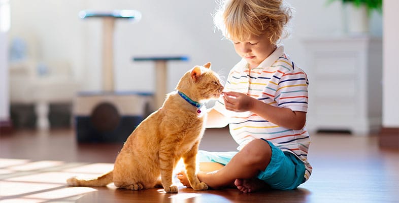 Good Pets For Kids: Choosing The Right Pet For Your Family - AskHer ...